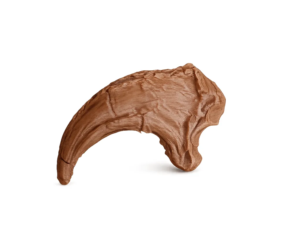 Velociraptor Claw – 3D Printable Fossil Replica - Free 3D Print Model ...