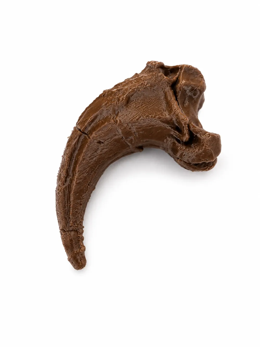 Velociraptor Claw – 3D Printable Fossil Replica - Free 3D Print Model ...