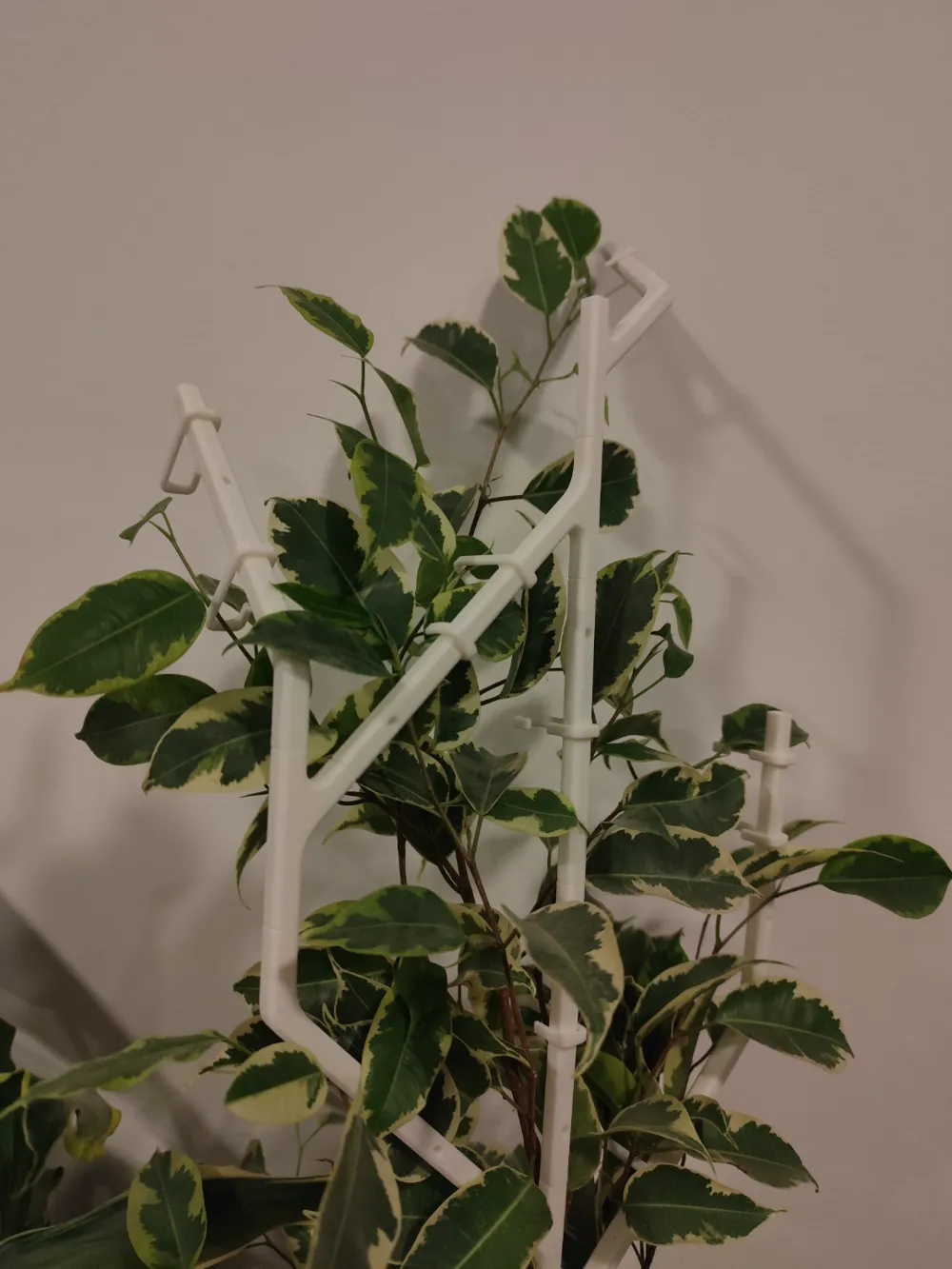 Modular plant support stakes by Dabont.design - MakerWorld