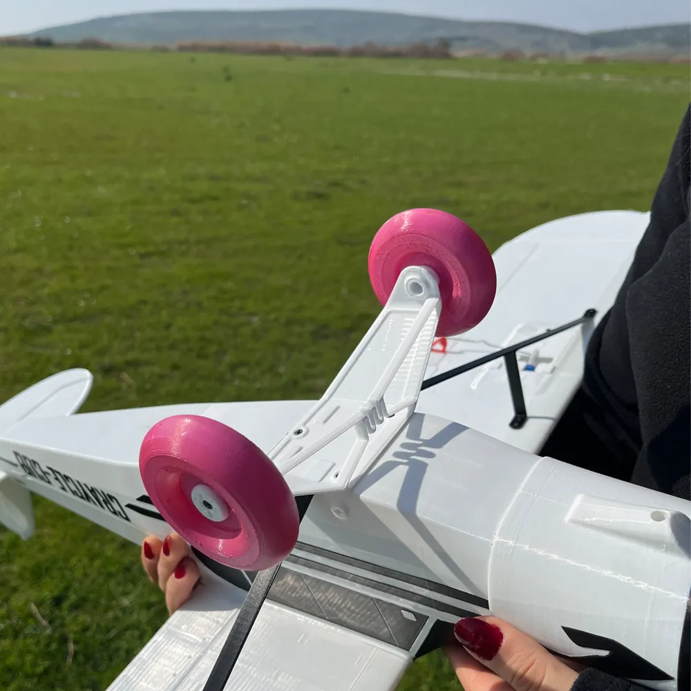 CraycleCub V2 800 mm FPV Trainer Plane - Test File - Free 3D Print ...