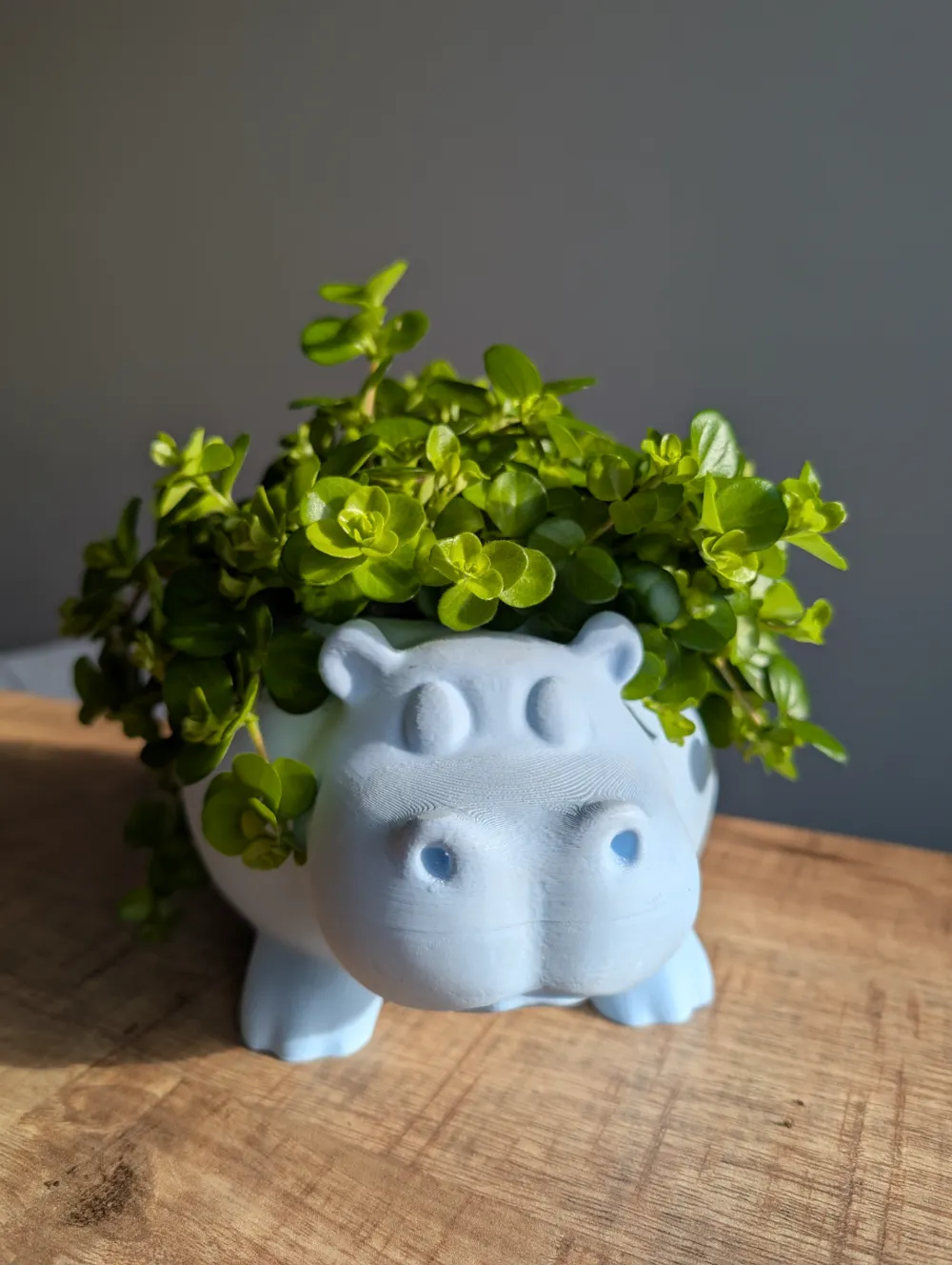 Happy Hippo Flower pot by Street_SurferMakerWorld: Download Free 3D Models