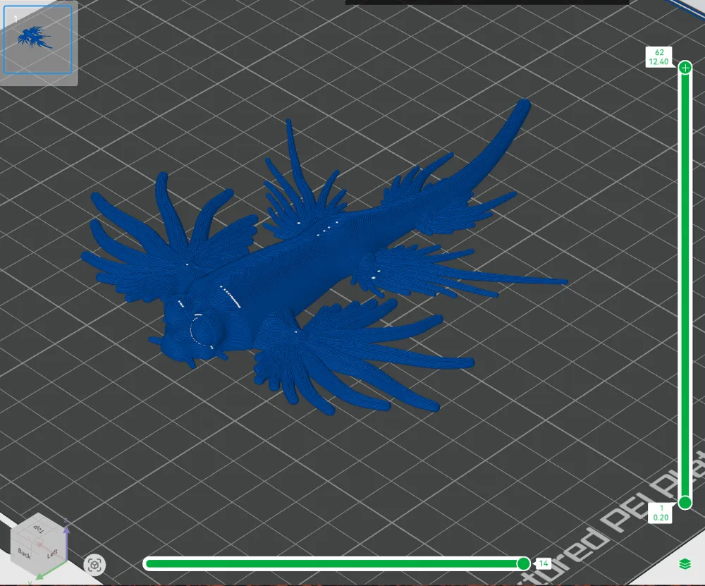 Blue Dragon Sea Slug Creature - Free 3D Print Model - MakerWorld
