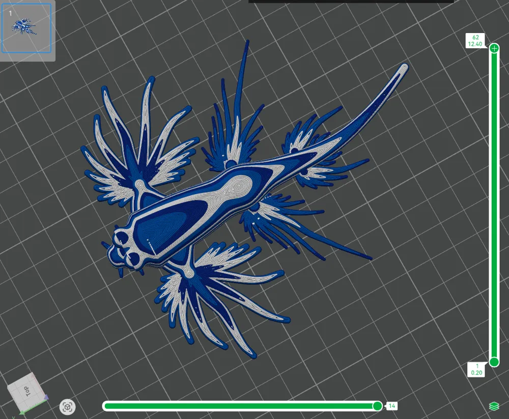 Blue Dragon Sea Slug Creature - Free 3D Print Model - MakerWorld