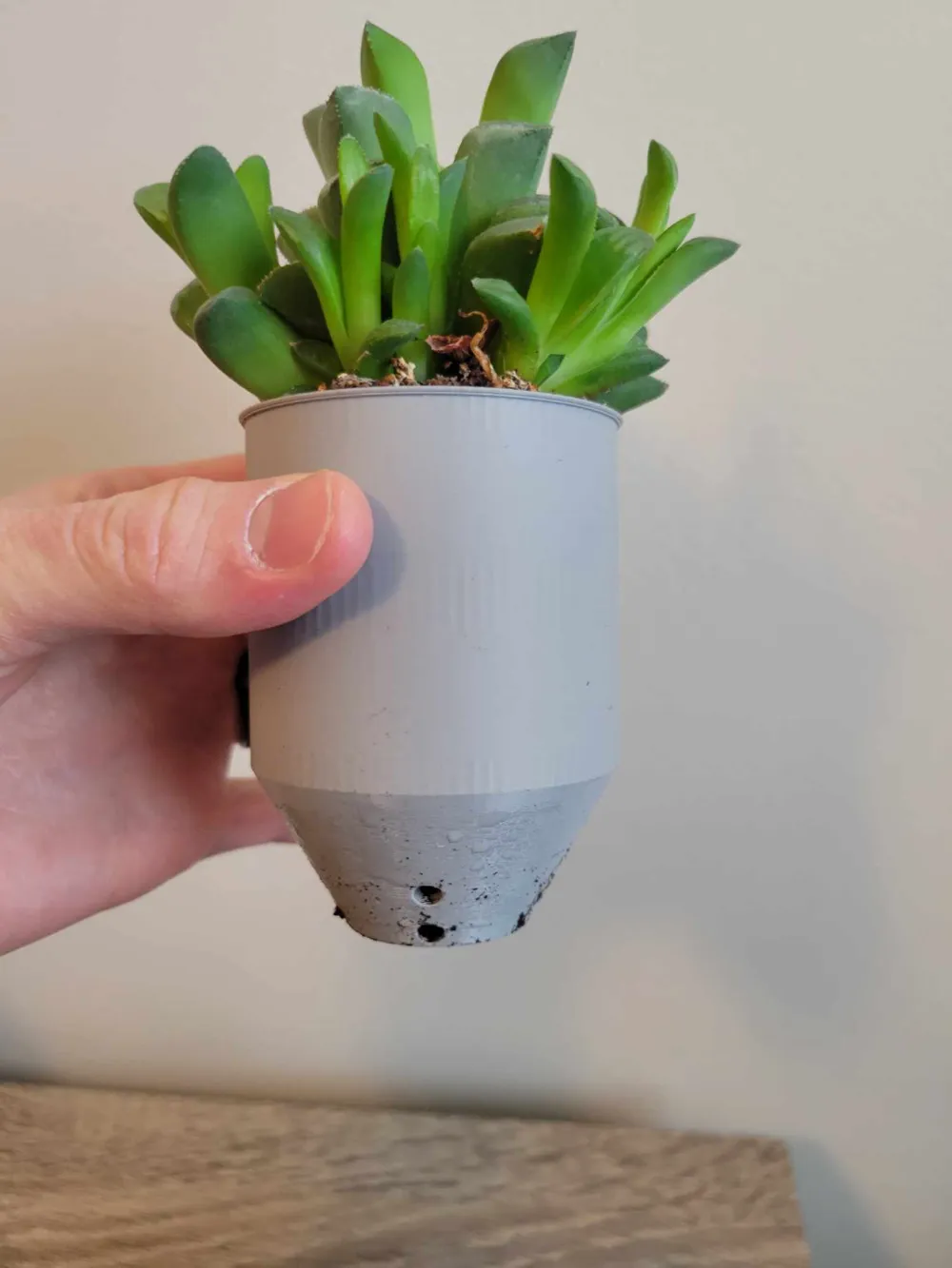 Barrel Plant Pot by Monchy_Bois - MakerWorld