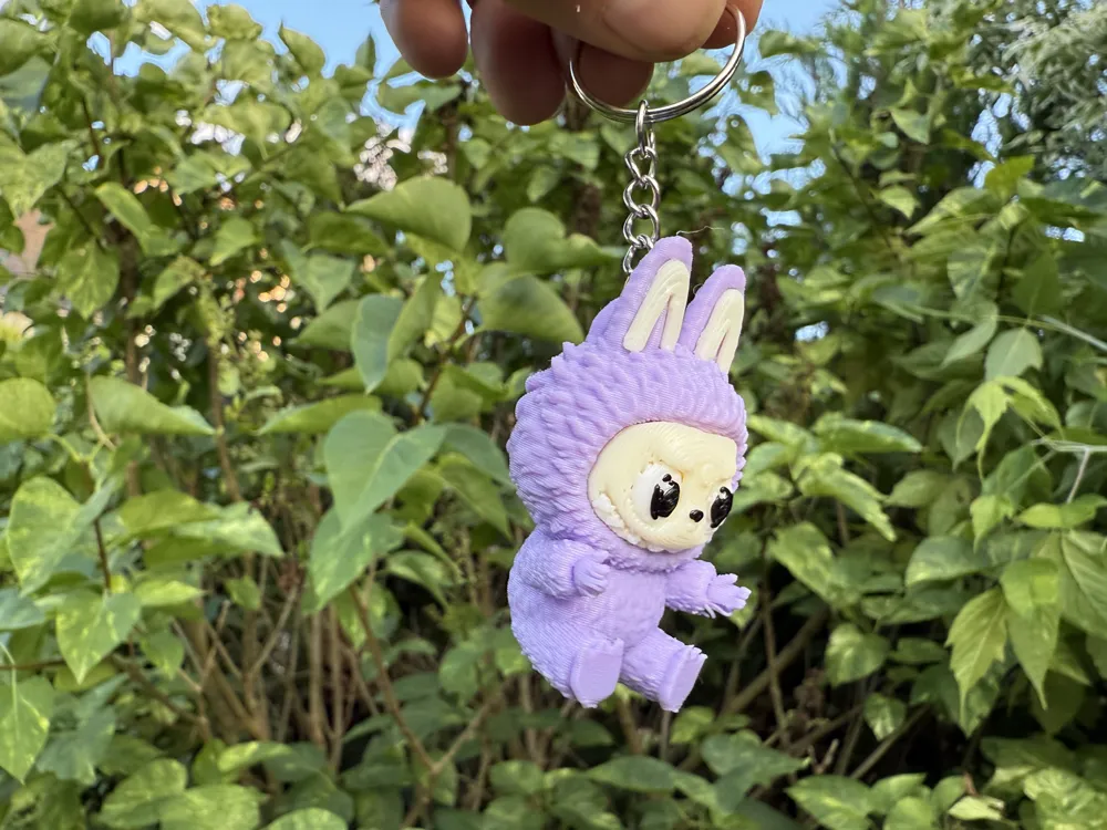 Keychain Labubu in 3D ( 5,5 cm) by Rush MakerWorld: Download Free 3D Models