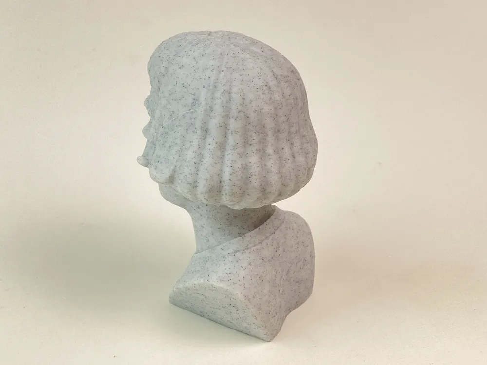 Medieval Barber Mullet Gone Wrong Meme Character - Free 3D Print Model ...