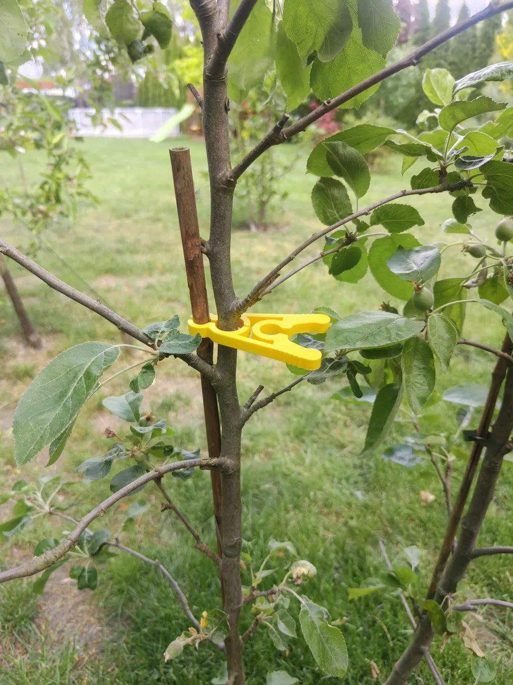 Plant clip - Free 3D Print Model - MakerWorld