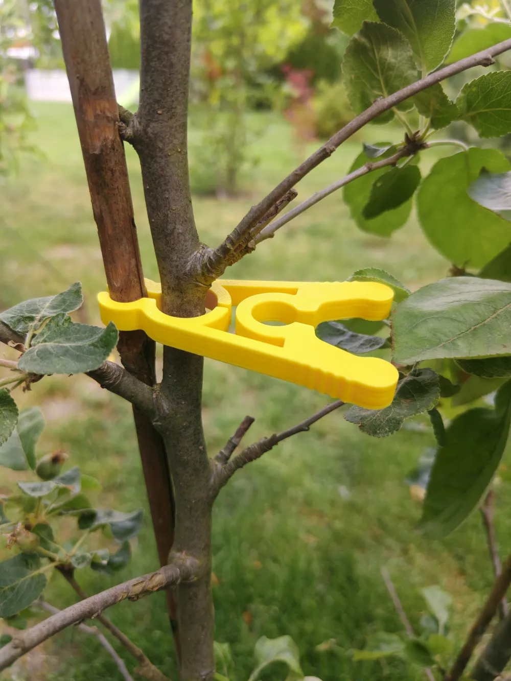 Plant clip - Free 3D Print Model - MakerWorld
