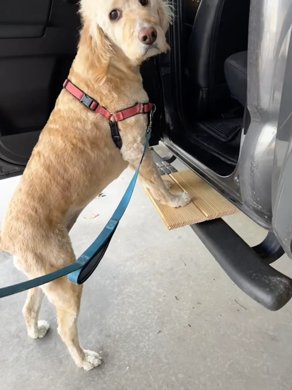 Dog Step for Gen 3 Toyota Tacoma Running Board by alok - MakerWorld