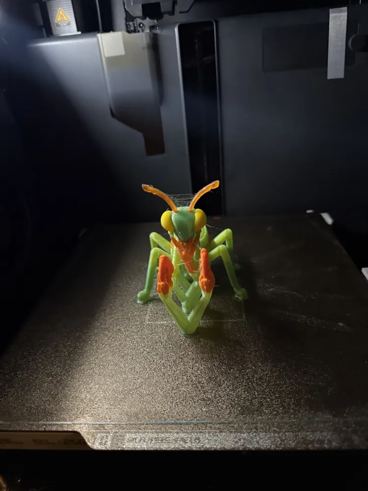 Pray Mantis - Free 3D Print Model - MakerWorld