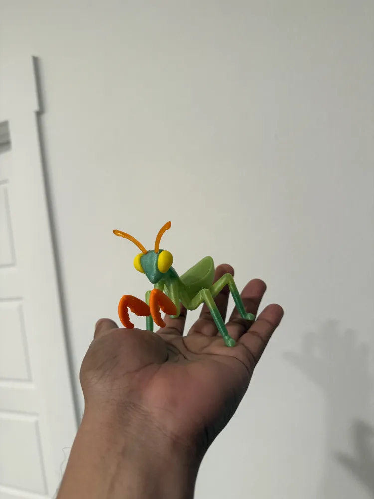 Pray Mantis - Free 3D Print Model - MakerWorld