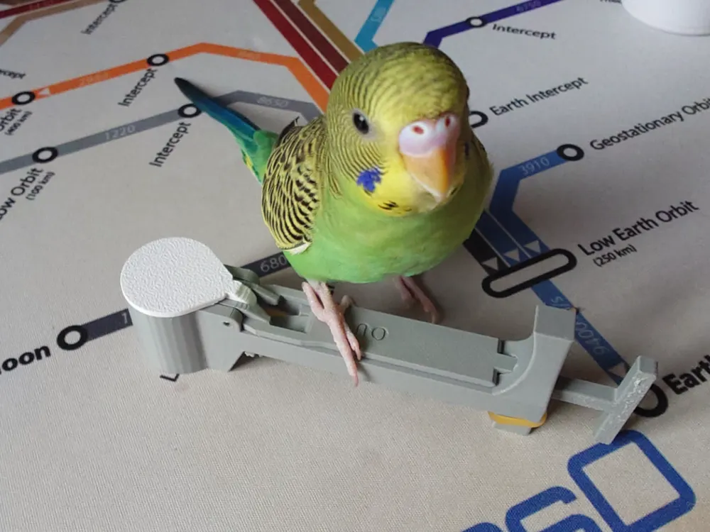 Parrot Bird Food Measuring Cup Food Bowl pro max with Opening Mechanism ...