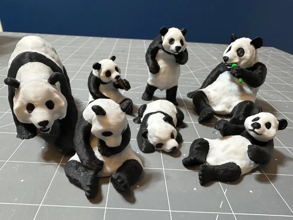 Whole pandas family on a plate [AMS] by SigOS MakerWorld: Download Free ...