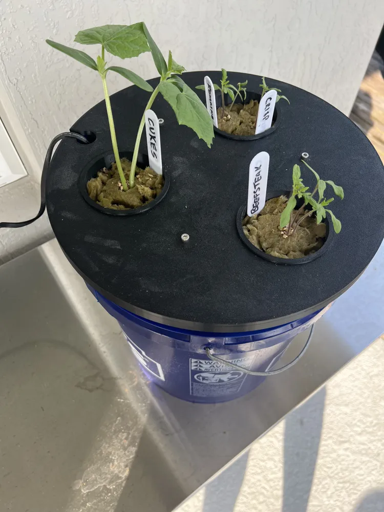 5‑Gallon Triple‑Plant Hydroponic Bucket System - Free 3D Print Model ...