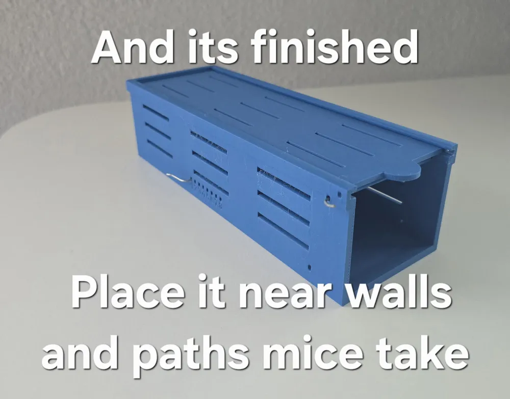 Mouse Trap Live Simple and Robust - Free 3D Print Model - MakerWorld