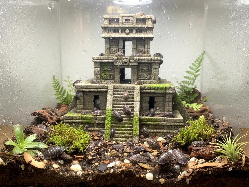 Mayan Pyramid Temple Ruins 2 | Maya Ruins - Free 3D Print Model ...