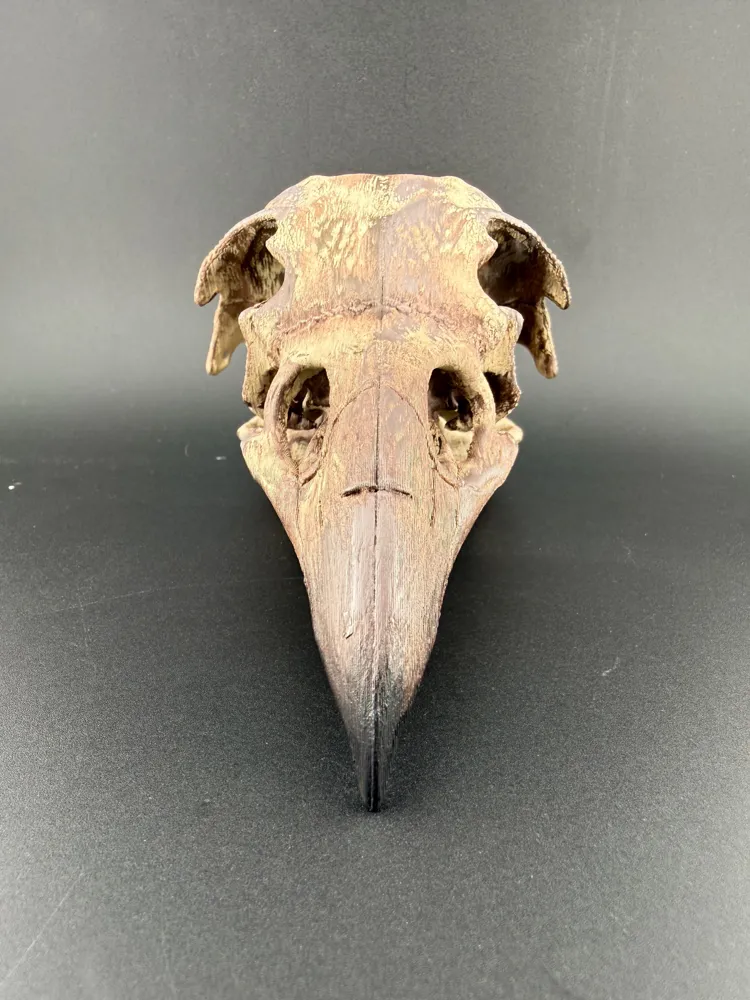 crow scull - Free 3D Print Model - MakerWorld