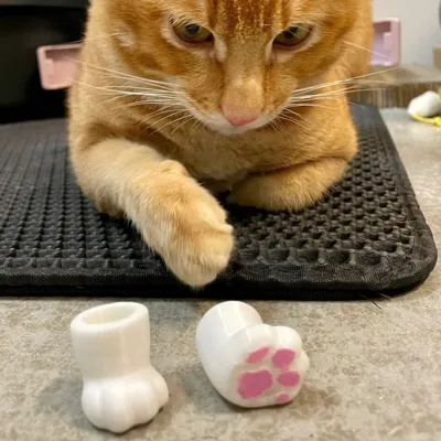 Finger Cat Paw by ningtw - MakerWorld