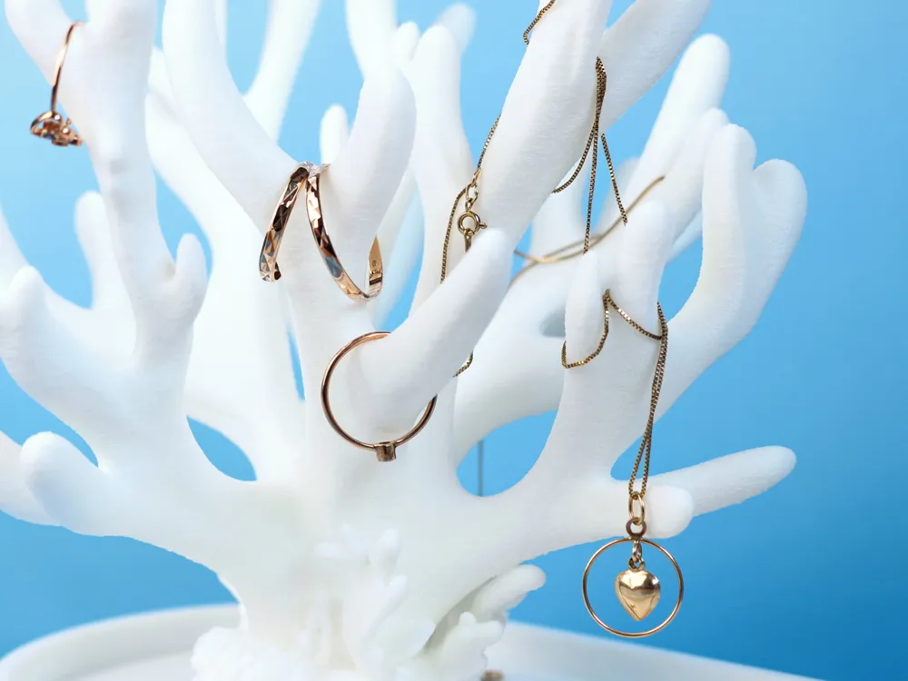 Coral Decor & Jewelry Holder - Free 3D Print Model - MakerWorld