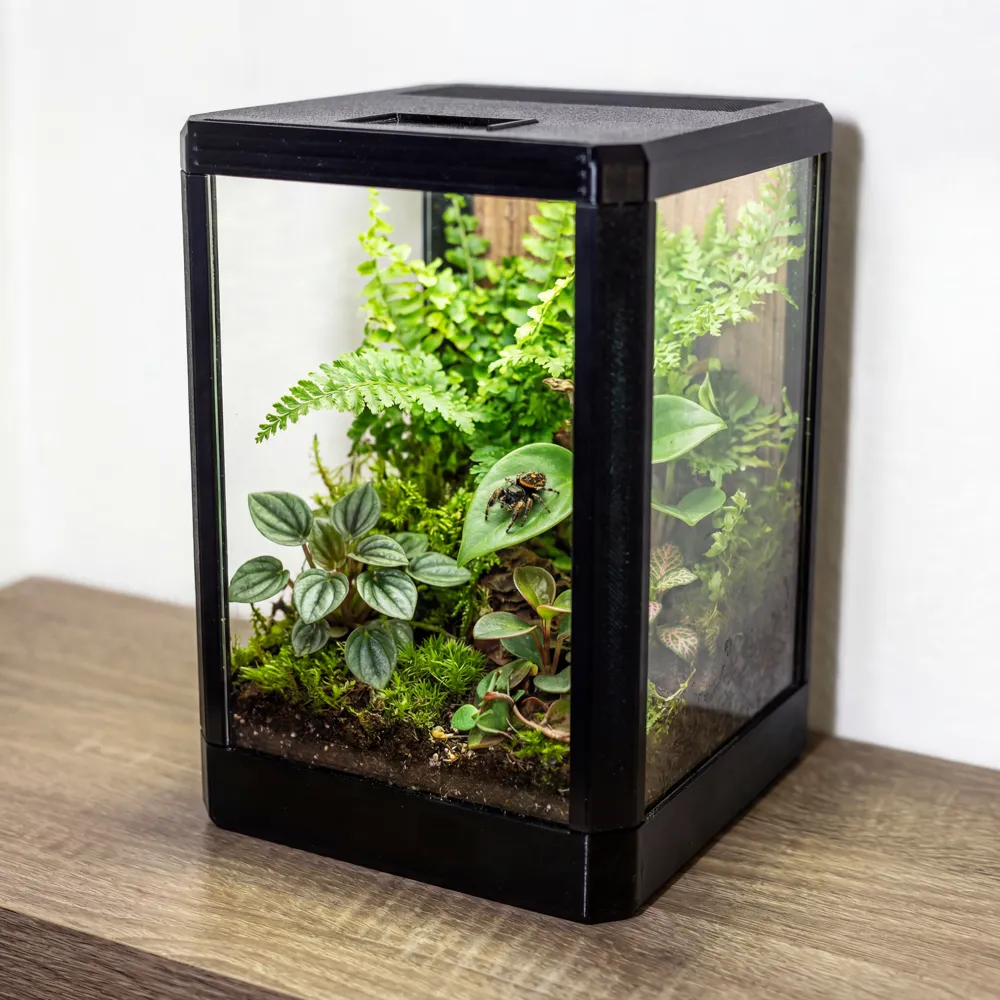 JUMPING SPIDER TERRARIUM MINI - Free 3D Print Model - MakerWorld