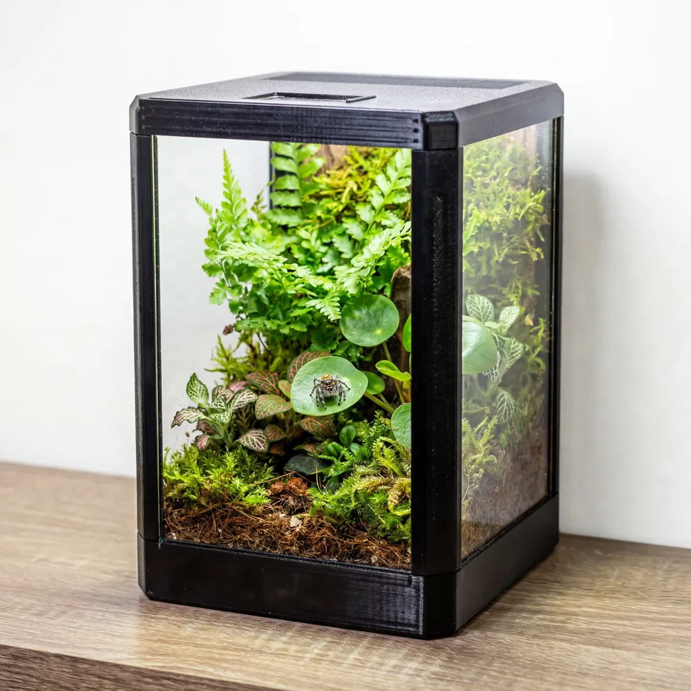 JUMPING SPIDER TERRARIUM MINI - Free 3D Print Model - MakerWorld