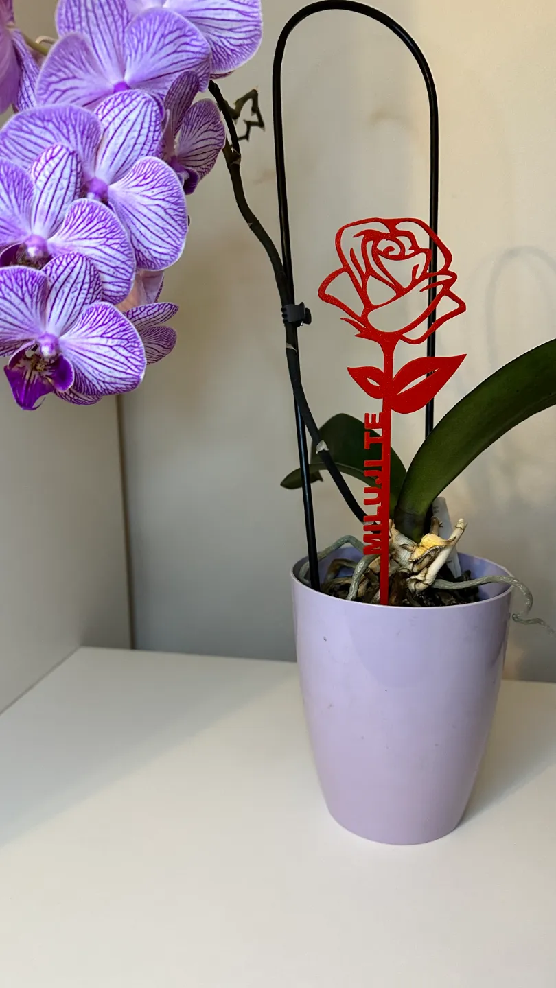 VALENTÝNSKÁ RŮŽE DO KVĚTINÁČE by MICHAL_3Dtisk - MakerWorld