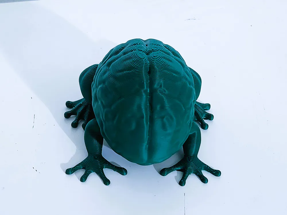 Brainfrog - brain+frog sculpture by dubmehard - MakerWorld