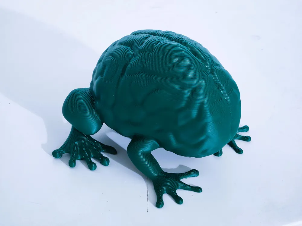 Brainfrog - brain+frog sculpture by dubmehard MakerWorld: Download Free ...