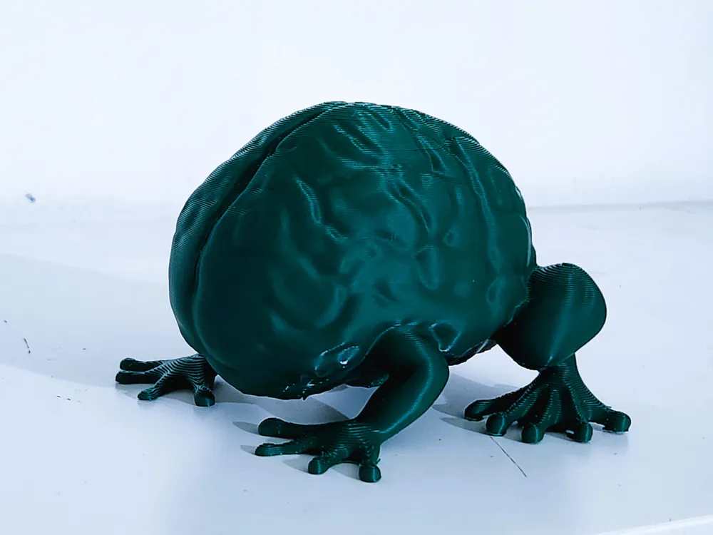 Brainfrog - brain+frog sculpture by dubmehard MakerWorld: Download Free ...