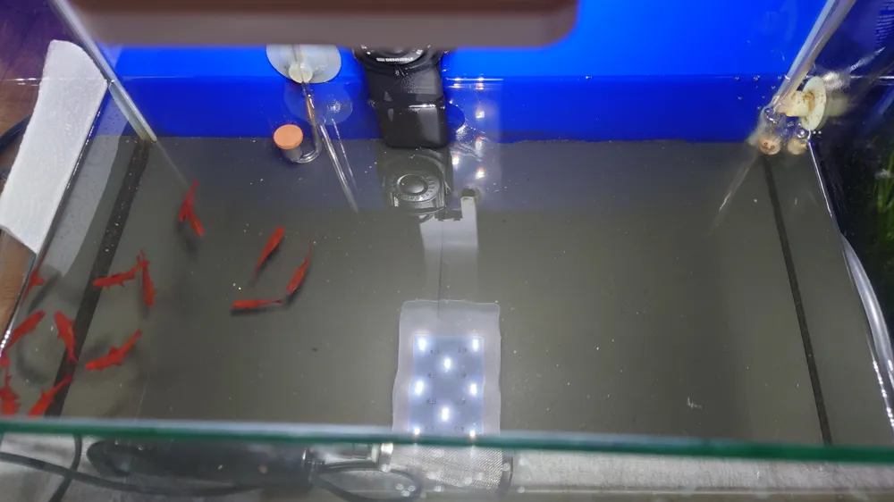 Aquarium Breeding Net, Spawning Trap, and Breeding Grate + Substrate by To-Bi MakerWorld ...