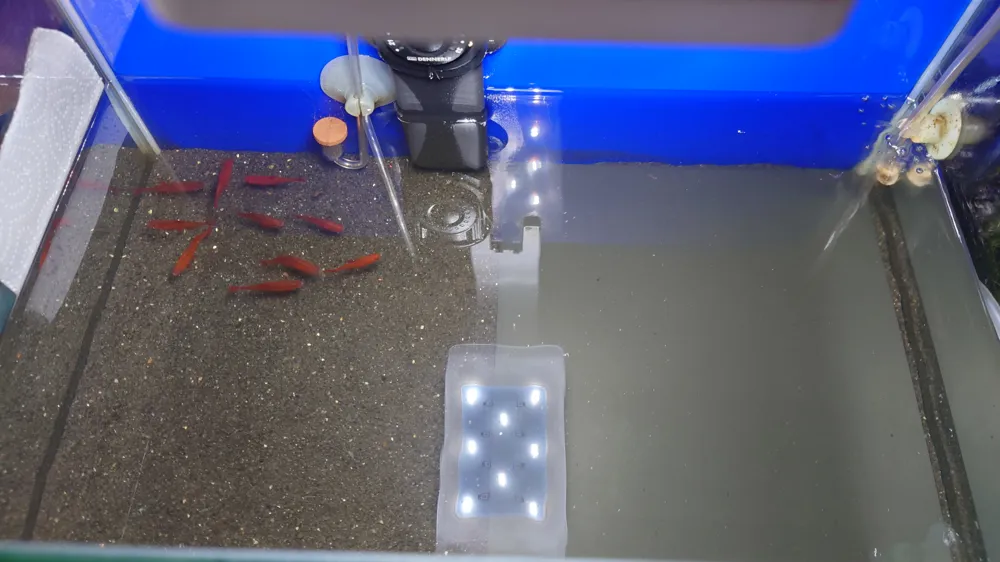 Aquarium Breeding Net, Spawning Trap, and Breeding Grate + Substrate by To-Bi MakerWorld ...