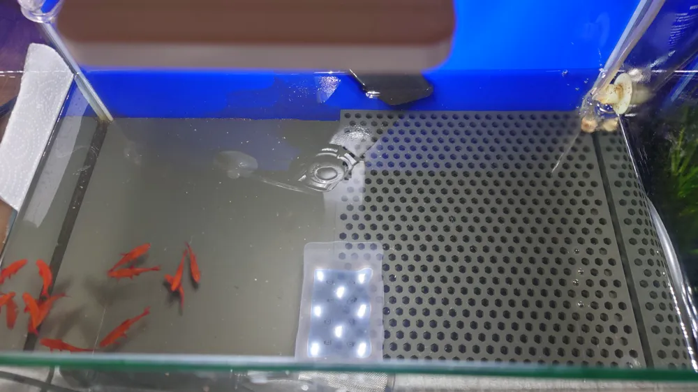 Aquarium Breeding Net, Spawning Trap, and Breeding Grate + Substrate by To-Bi MakerWorld ...