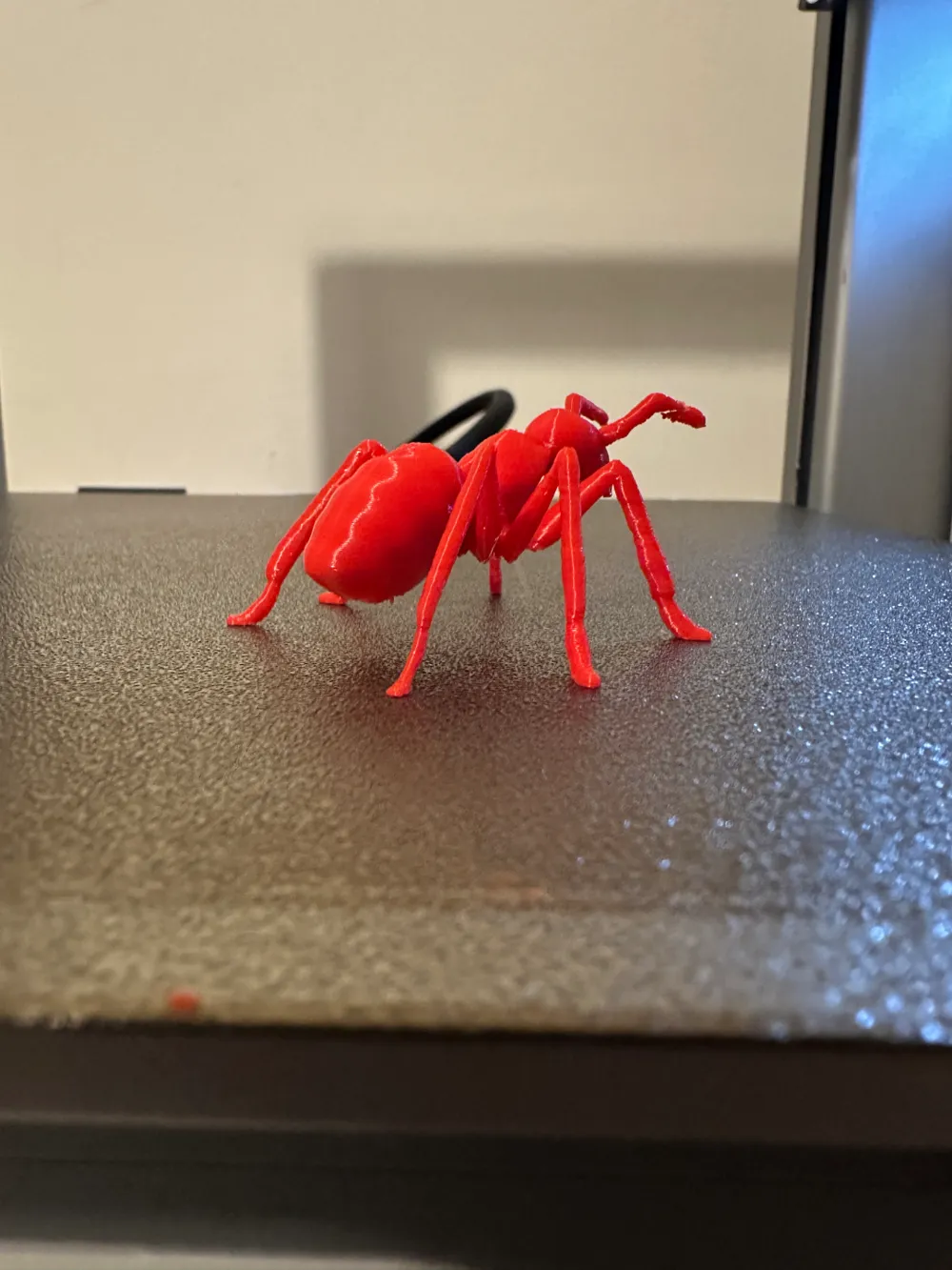 Ant - Free 3D Print Model - MakerWorld