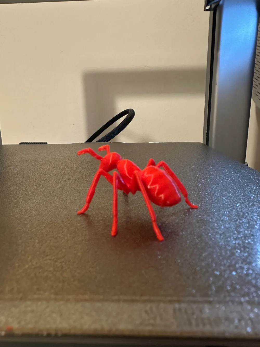 Ant - Free 3D Print Model - MakerWorld
