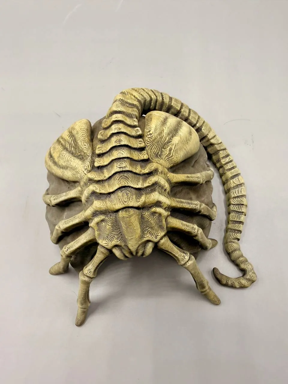 Escondite de Facehugger - Modelo de impresión 3D gratuito - MakerWorld