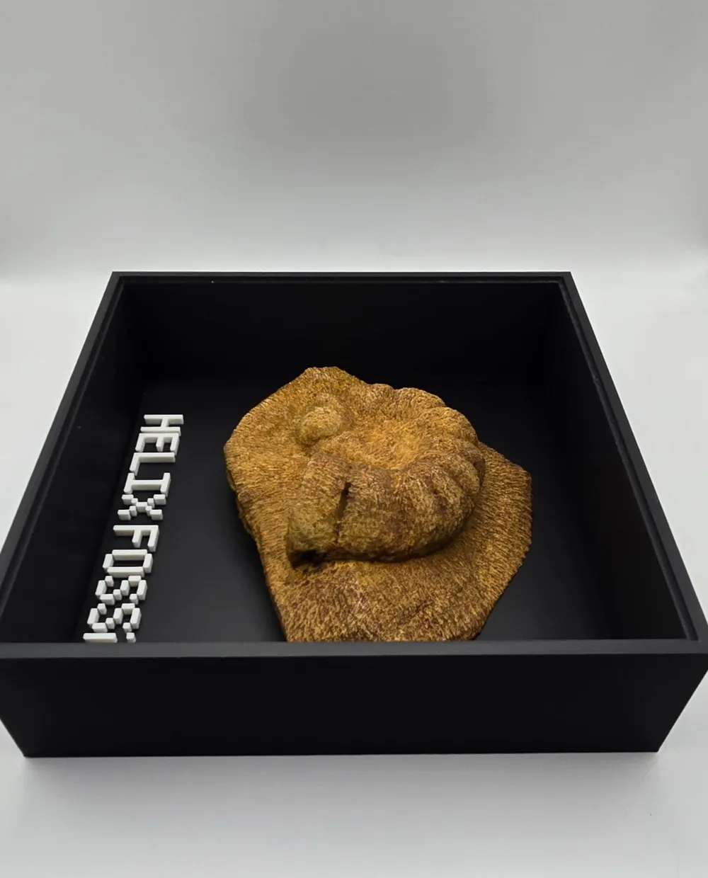 Helix fossil by Nostalgicprints - MakerWorld