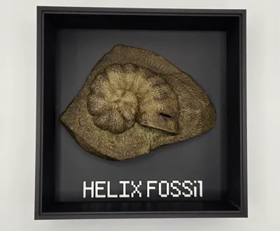 Nostalgicprints | Home - MakerWorld