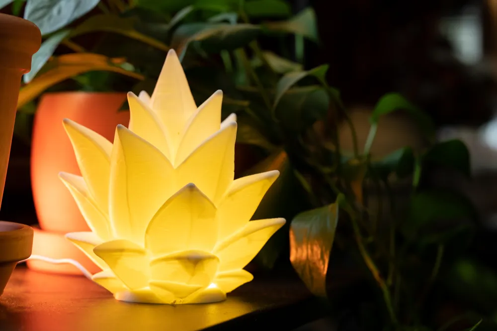 Succulent Lamp | Bambu LED 001 Kit by Boys Day Design MakerWorld ...