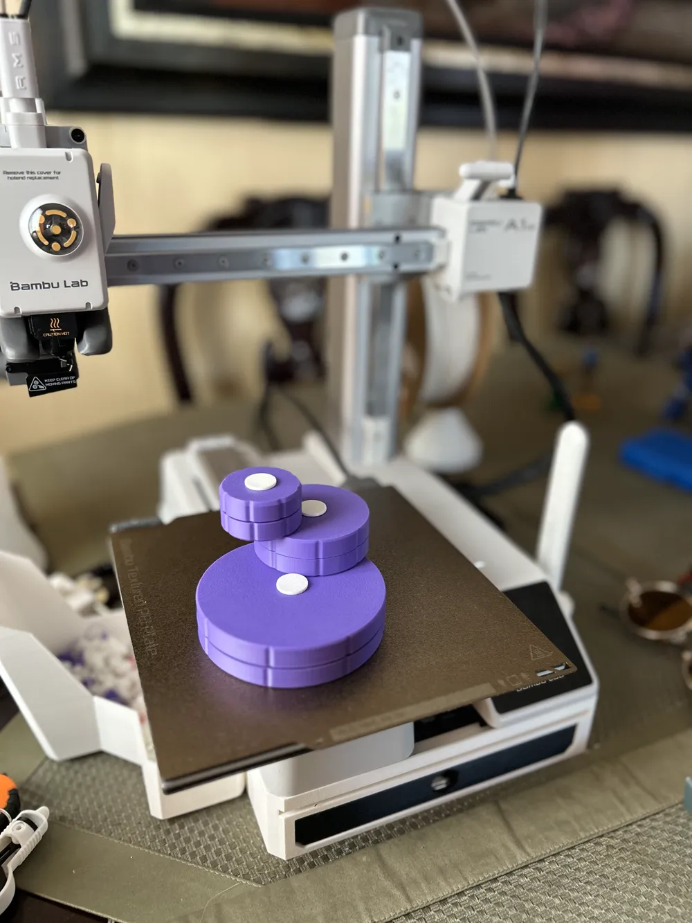 (Dfferent Sizes)Rachet Fidget Toy by PeWpie MakerWorld: Download Free ...