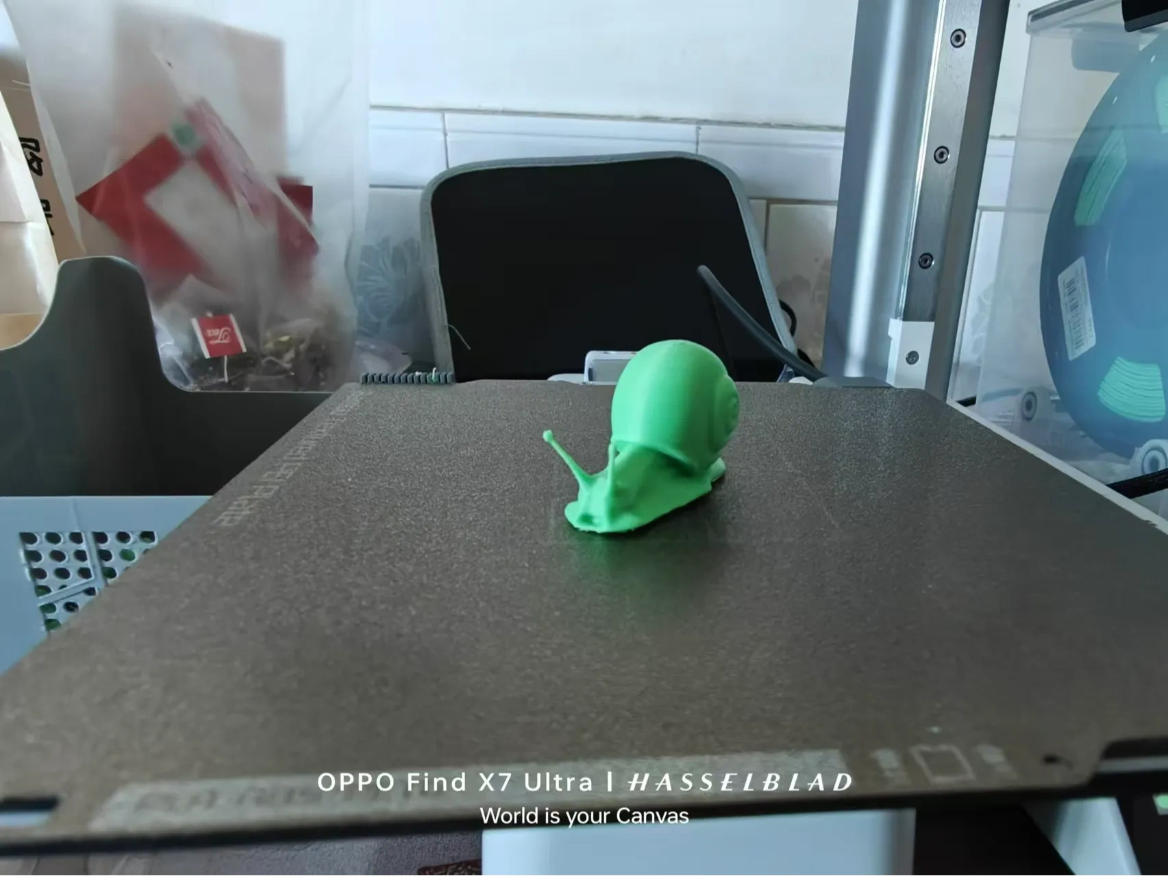 Snail by user_804279479 - MakerWorld