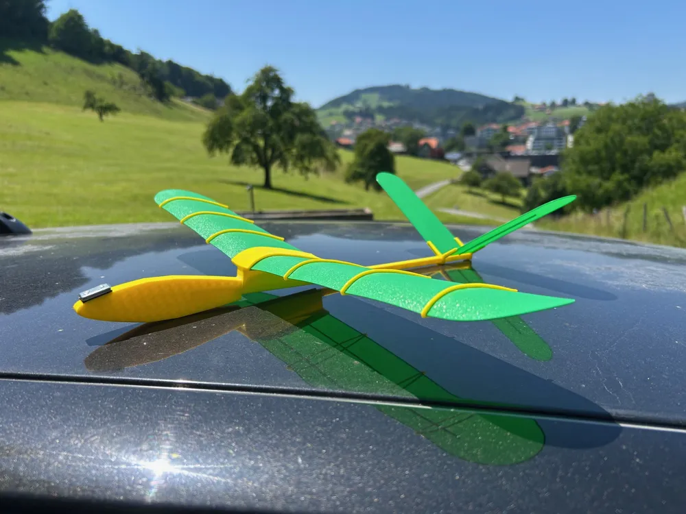 Nimbus Hunter 50cm hand-launch glider by Matt_XT600 MakerWorld ...