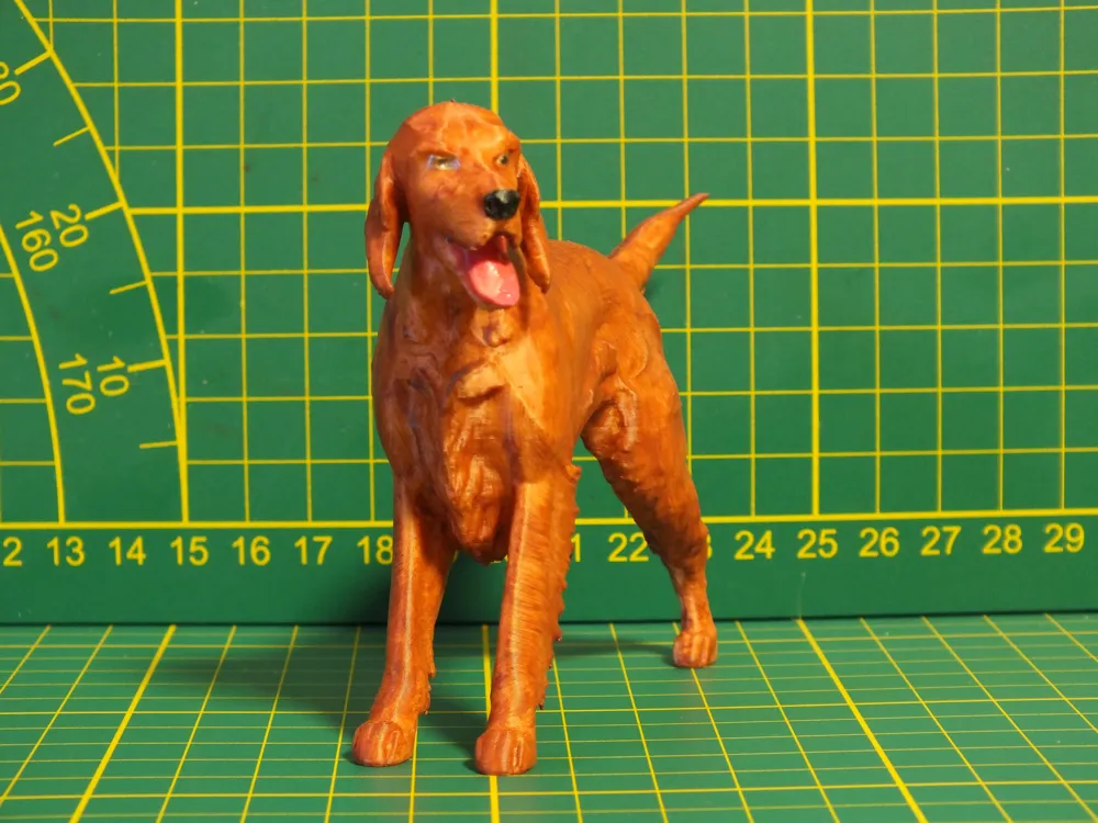 Irish Setter Red Setter Sotar Rua Standing - Free 3D Print Model ...