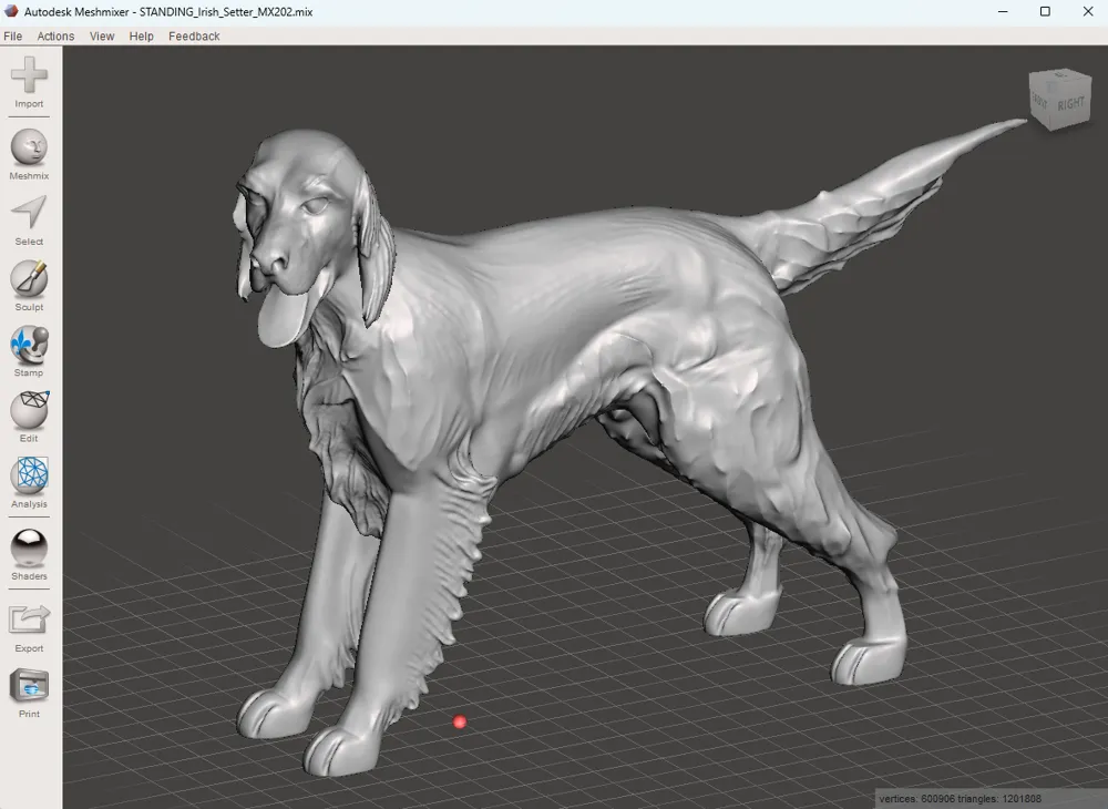 Irish Setter Red Setter Sotar Rua Standing - Free 3D Print Model ...