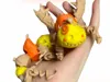 Pumpkin Patch Articulated Dragon Halloween Flexi by 3DNickNacs ...