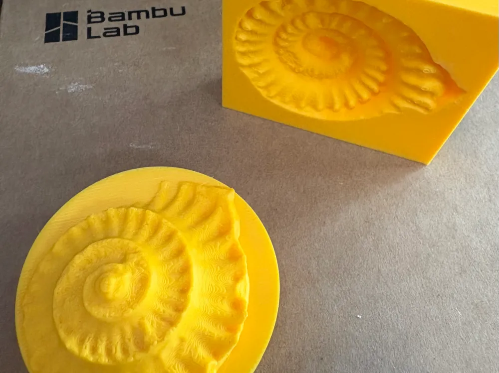 Ammonite Mold and Stamp - Free 3D Print Model - MakerWorld