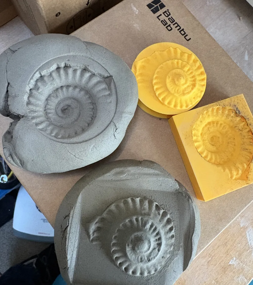 Molde y Sello de Ammonites - Modelo de impresión 3D gratuito - MakerWorld