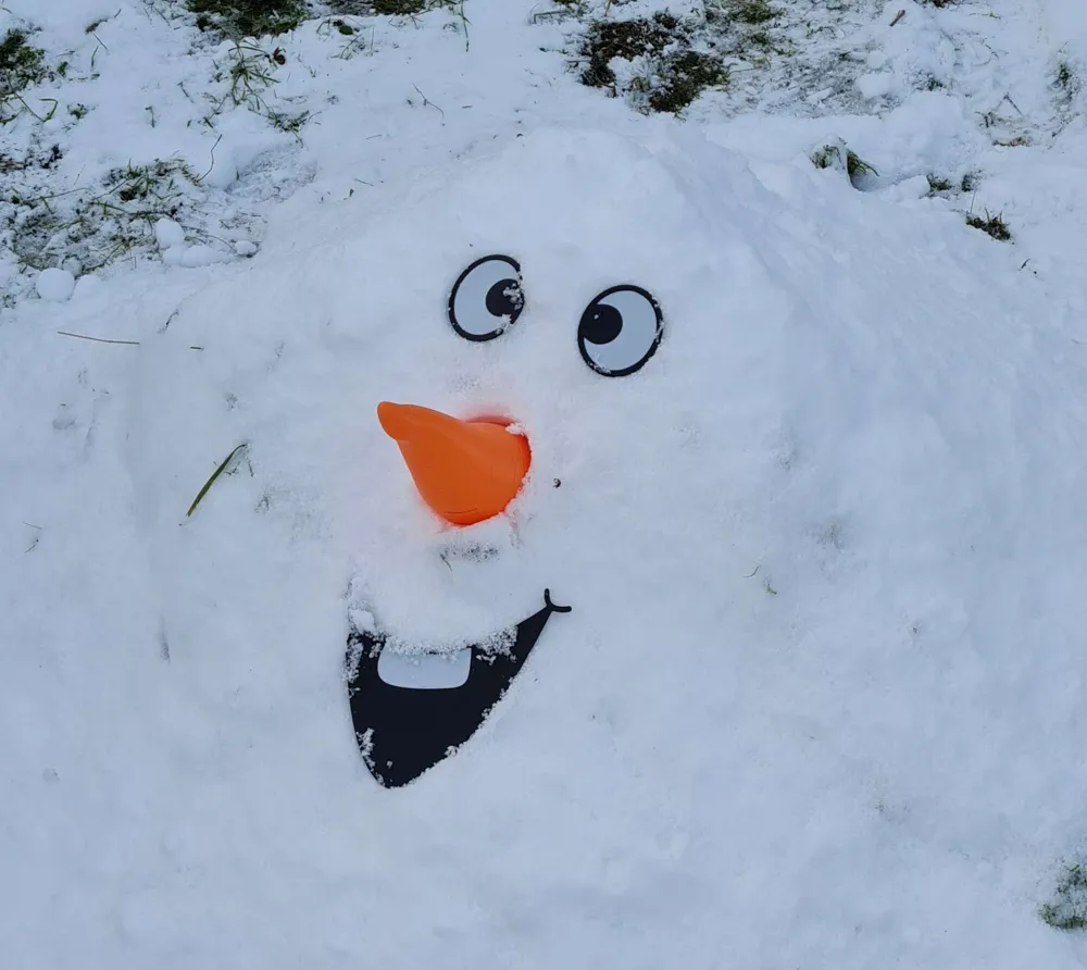 Olaf snowman kit by Pappaprintar - MakerWorld