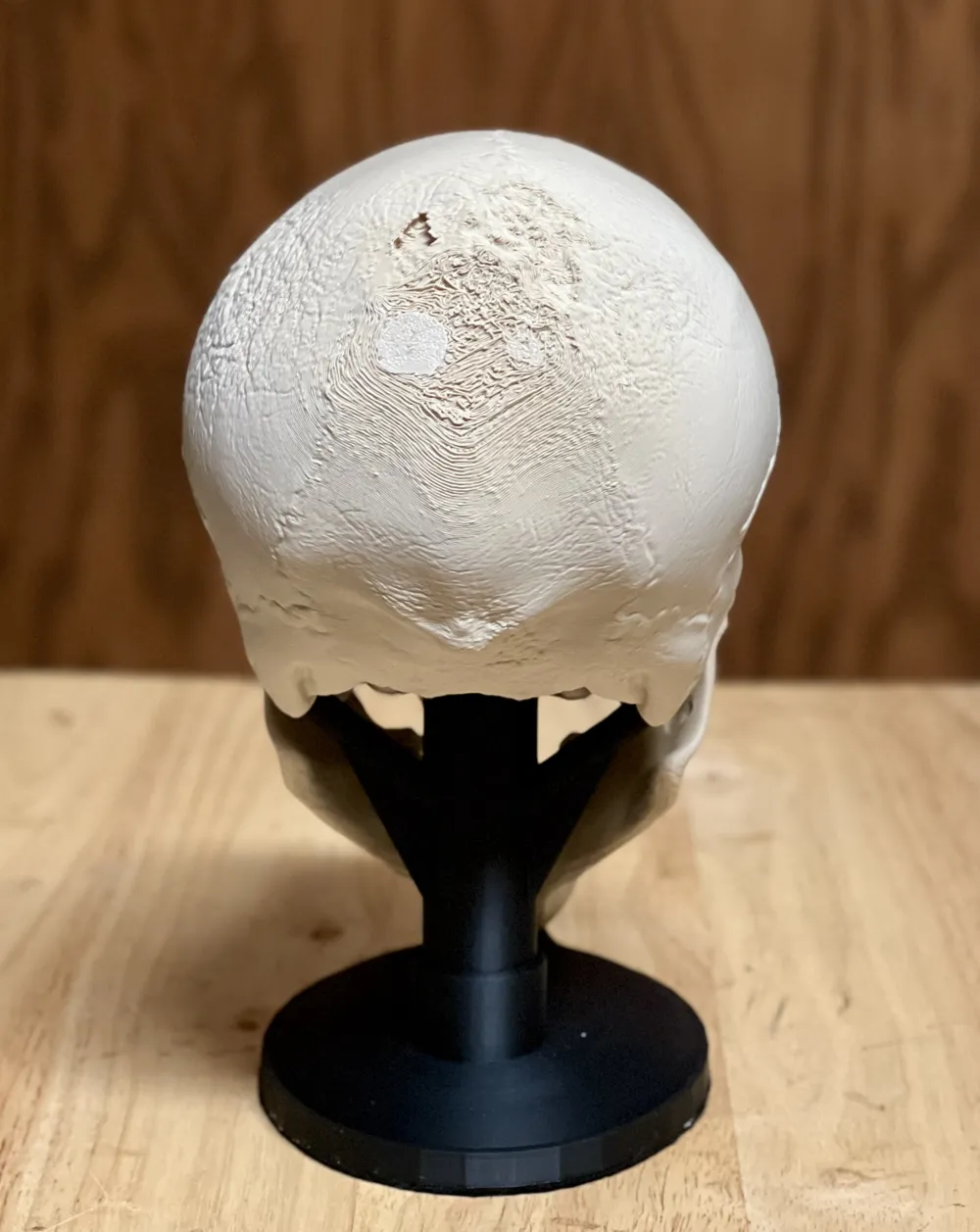 Hyperrealistic Vampire Skull v2024 - Free 3D Print Model - MakerWorld