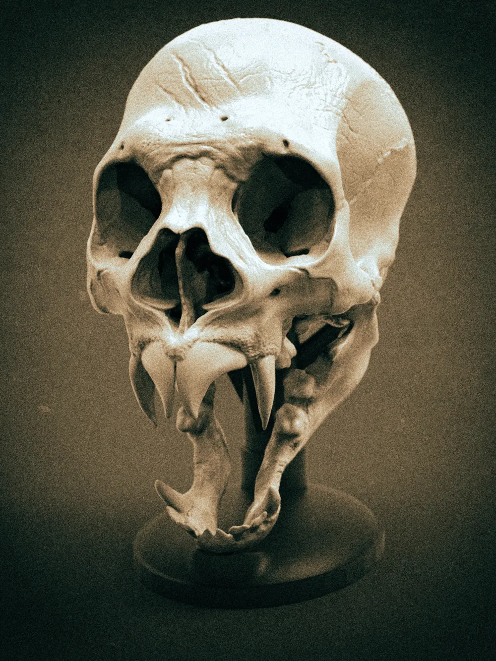 Hyperrealistic Vampire Skull v2024 by idrawcrap MakerWorld: Download ...
