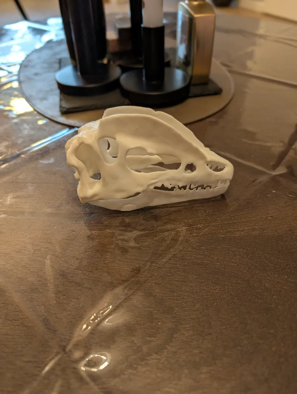 Cráneo de Dilophosaurus, dinosaurio por Garsoncreative MakerWorld: Descarga Modelos 3D Gratuitos